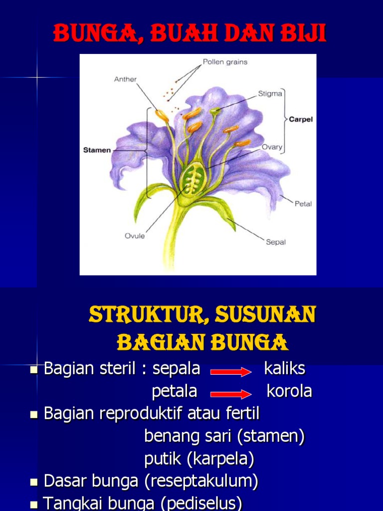 Morfologi dan Struktur Bunga Kedelai | PDF