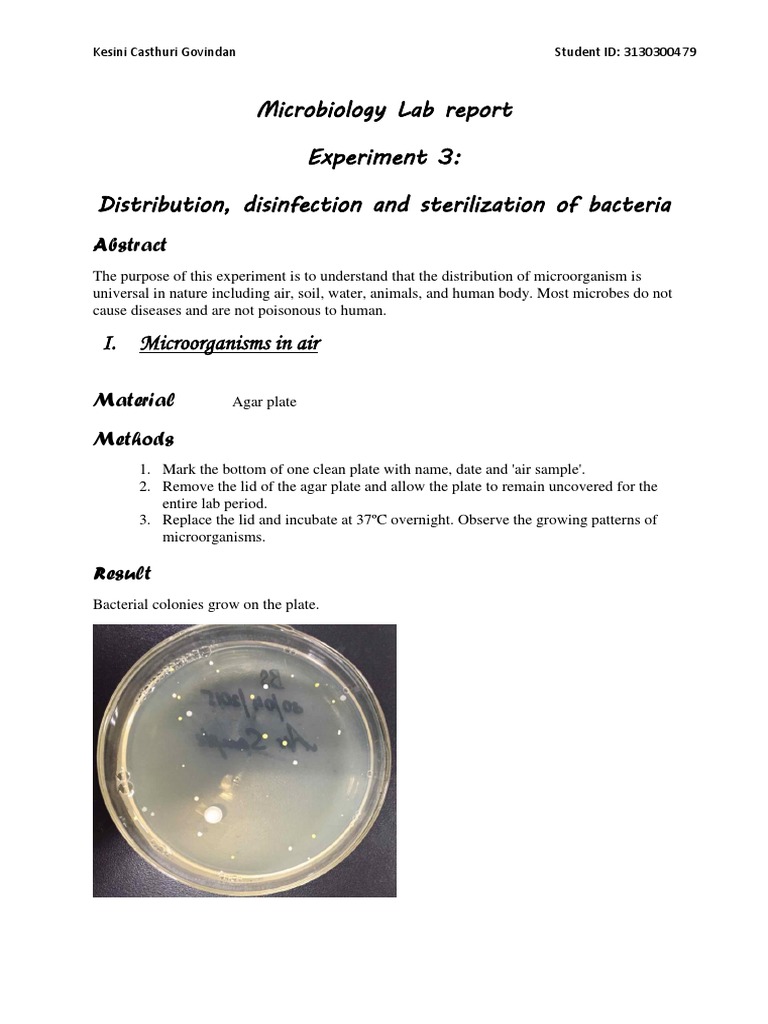 Microbiology Lab Report 3 | PDF | Ultraviolet | Sterilization ...
