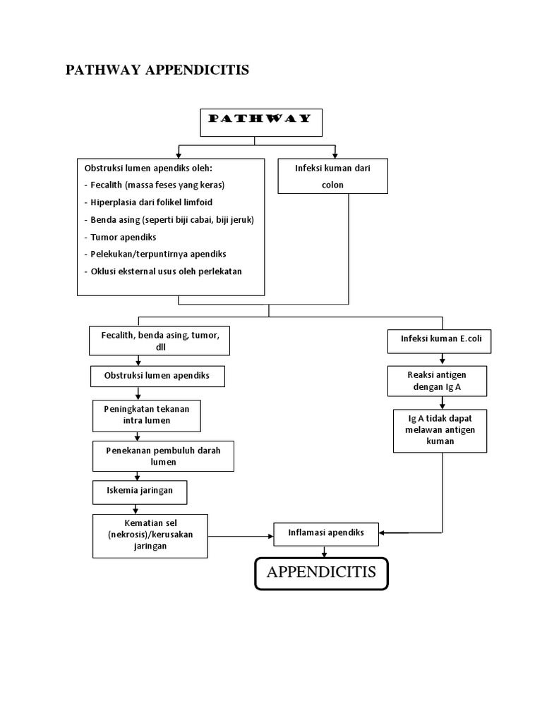 Pathway Appendicitis | PDF
