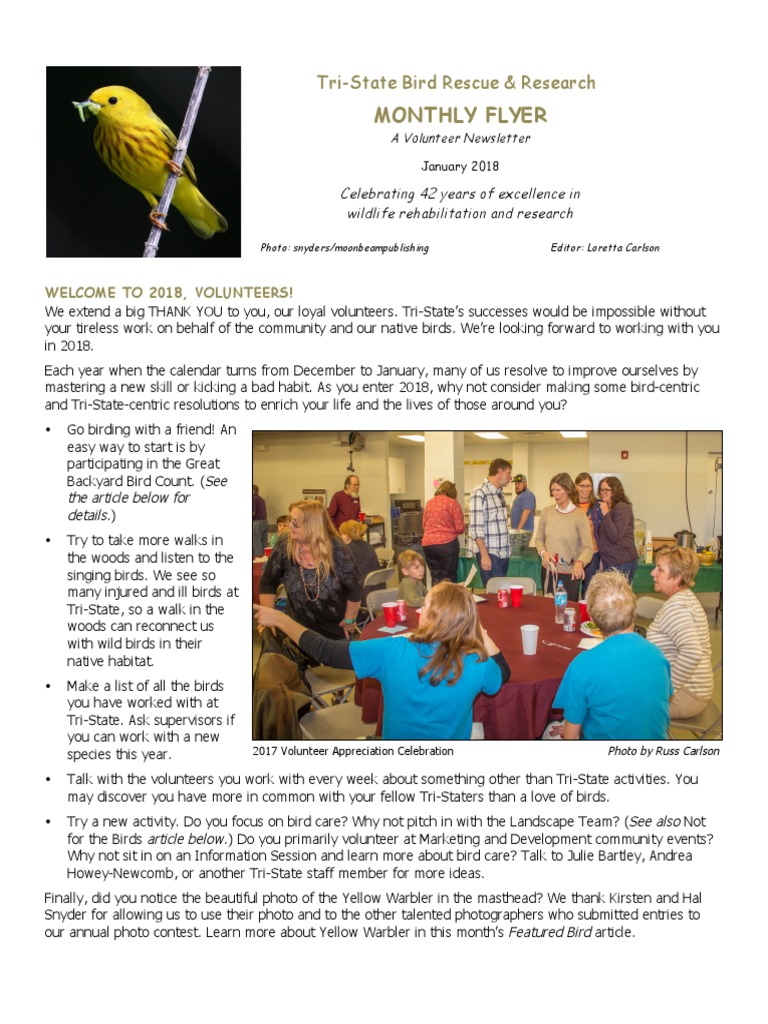 Monthly Flyer: Tri-State Bird Rescue & Research | PDF | Wound | Birds