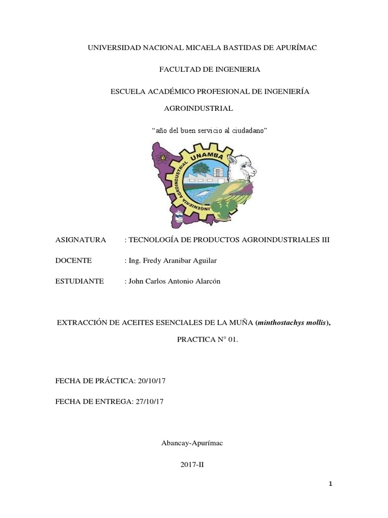 Muña John | PDF | Petróleo | Aceite esencial