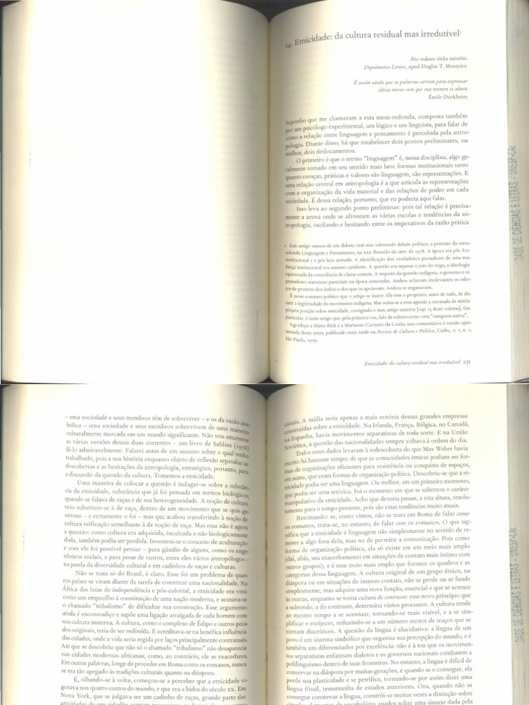 A etnicidade como linguagem e a legitimidade do movimento indígena ...