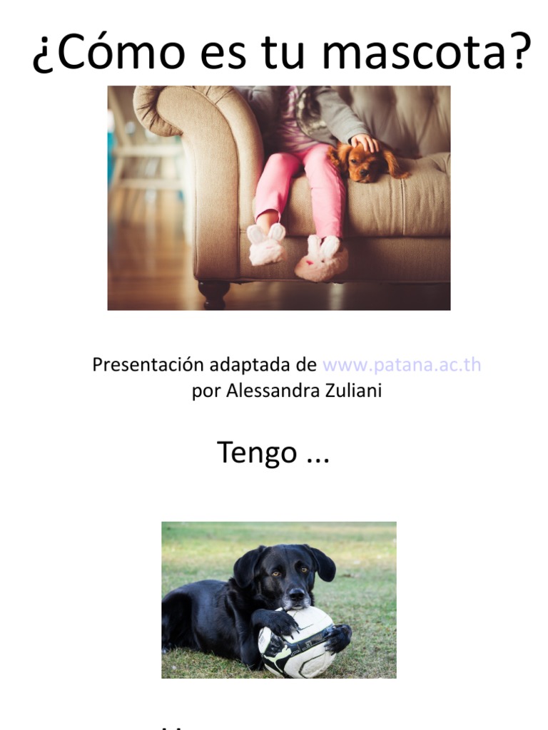 Describir A Tu Mascota | PDF | Subespecie De Canis Lupus | Razas de ...