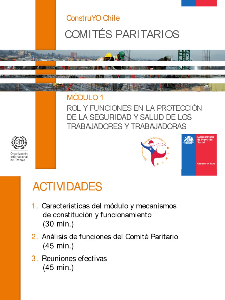 Funciones y Constitución del Comité Paritario | PDF | Chile | Constitución