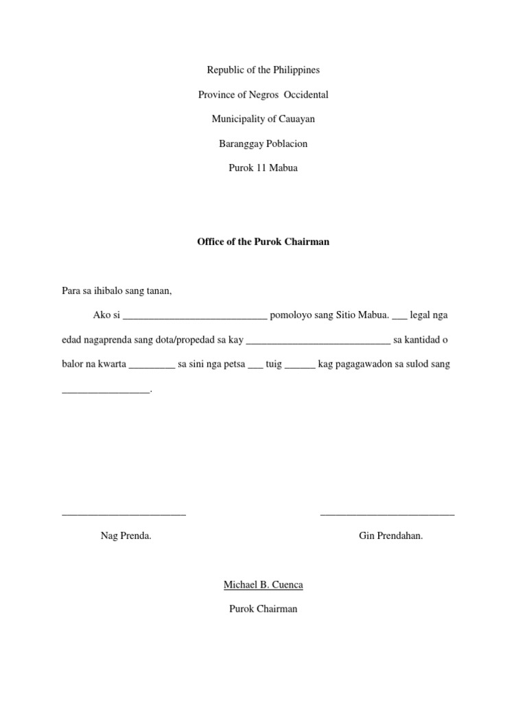 Property Loan Agreement in Mabua | PDF