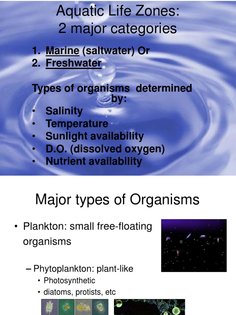 Marine (Saltwater) or 2. Freshwater Types of Organisms Determined by ...