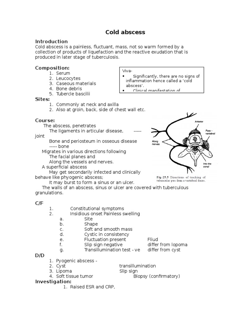 Cold Abscess | PDF | Tuberculosis | Anatomy