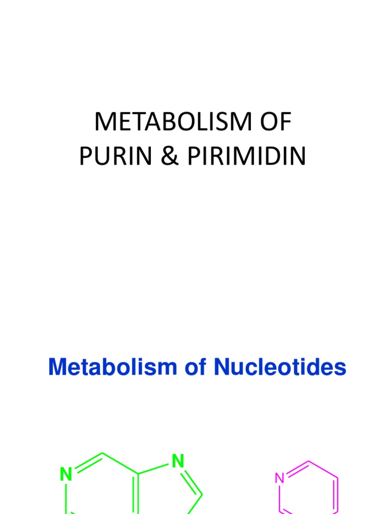 Metabolism of Purin Pirimidin | PDF | Nucleotides | Biosynthesis