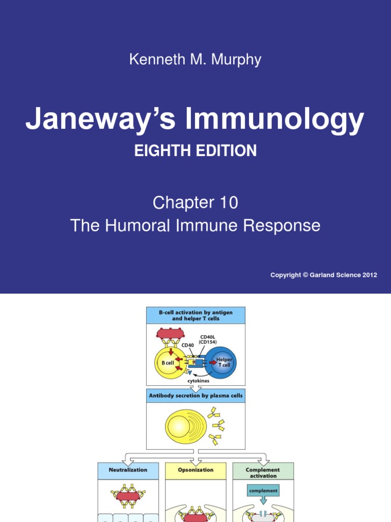 Janeway's Immunology: The Humoral Immune Response | PDF