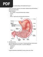 Definisi dan Penyebab Meteorismus | PDF | Kesehatan Holistik