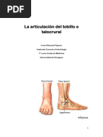 Anatomía del Maléolo Tibial y Astrágalo | PDF | Tobillo | Anatomía del ...