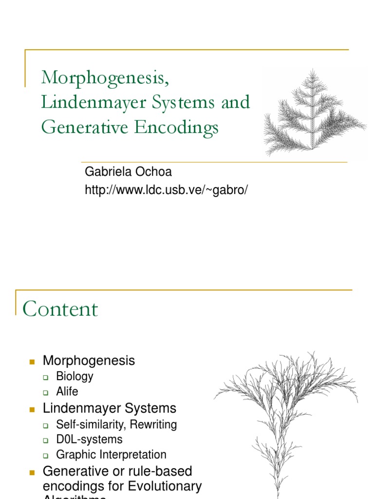 Morphogenesis, Lindenmayer Systems and Generative Encodings: Gabriela ...