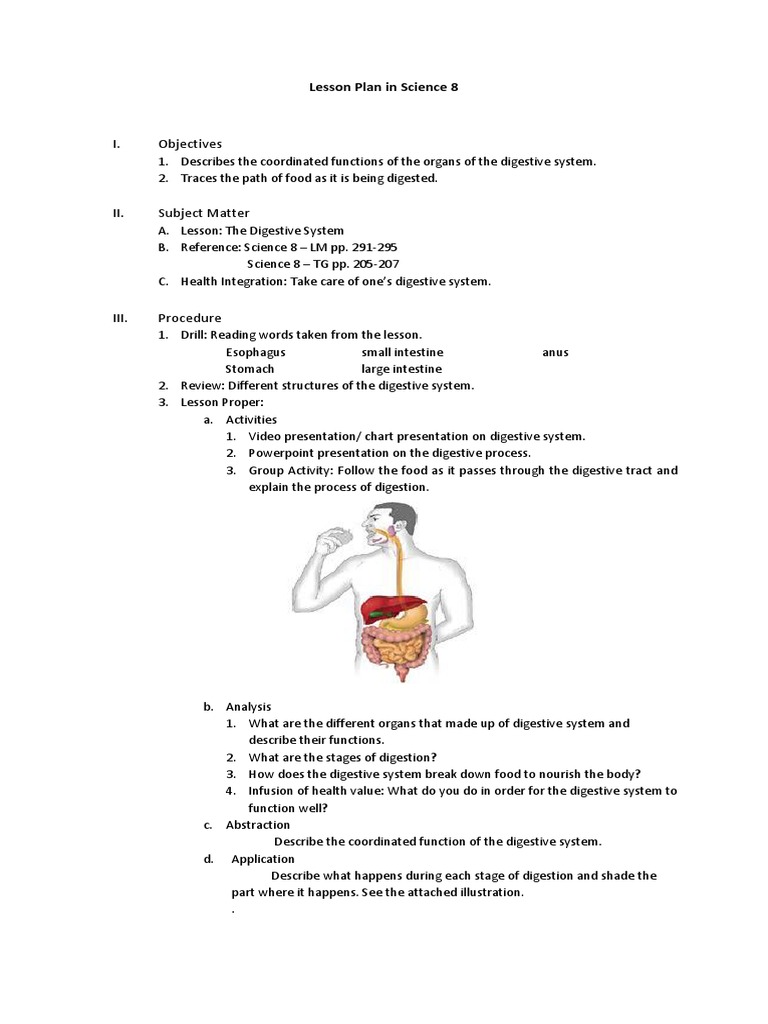 Lesson Plan In Science 8 Pdf Human Digestive System