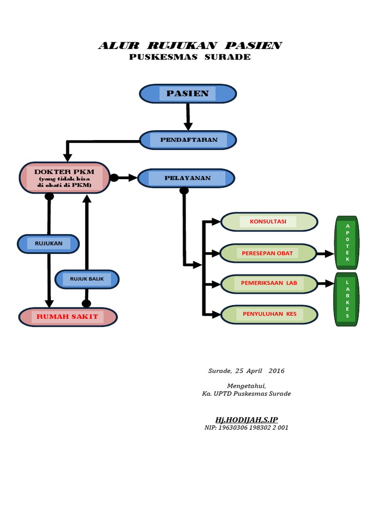 Alur Rujukan Pasien | PDF