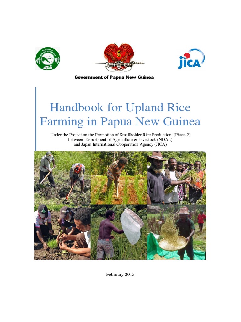 Upland Rice Farming | PDF | Sowing | Soil