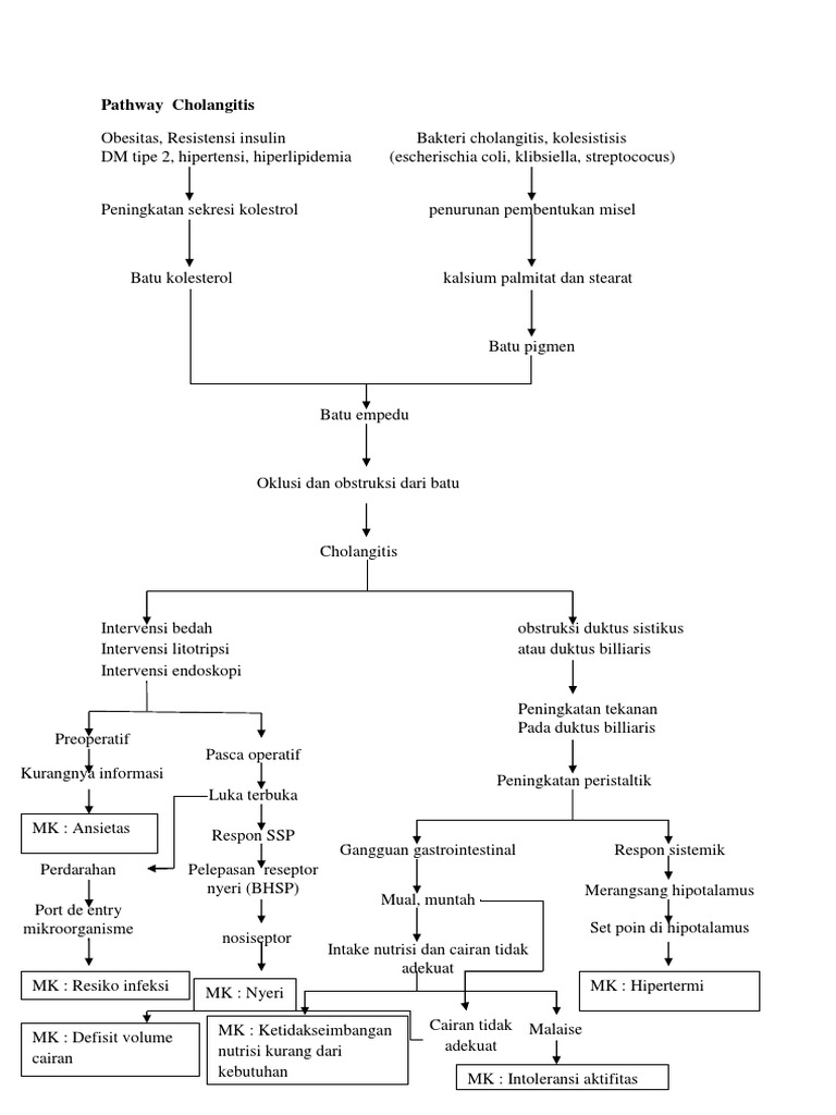 Pathway Cholangitis