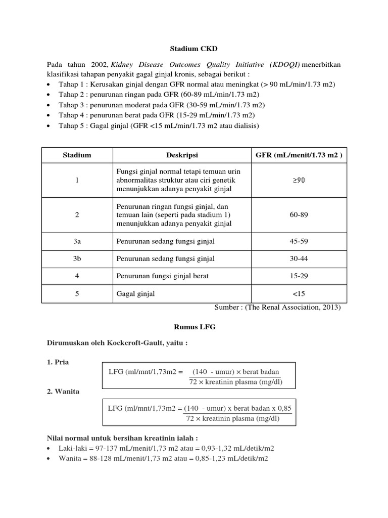 Stadium CKD | PDF