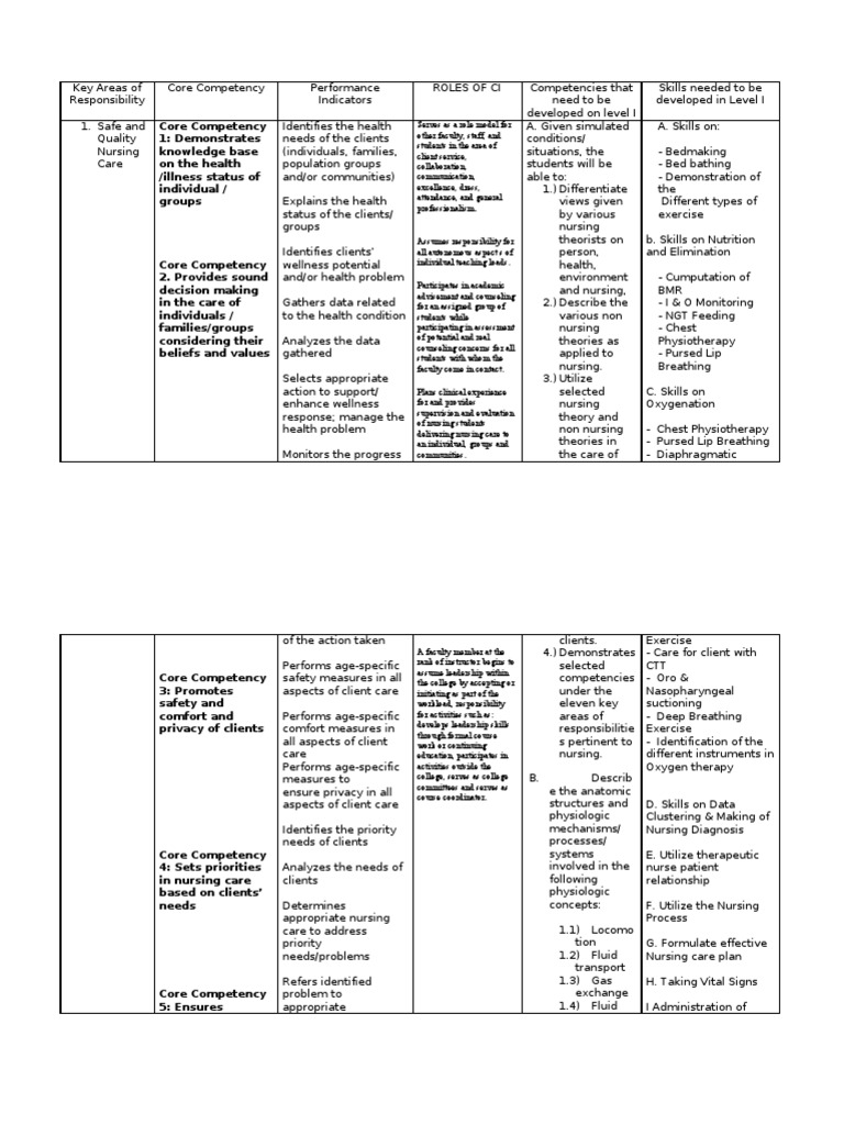 Level 1 Framework-Matrix | PDF | Competence (Human Resources) | Curriculum