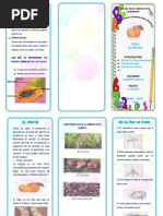 Nomenclatura ALADI - NALADISA (Introducción) | PDF | Taxonomía ...