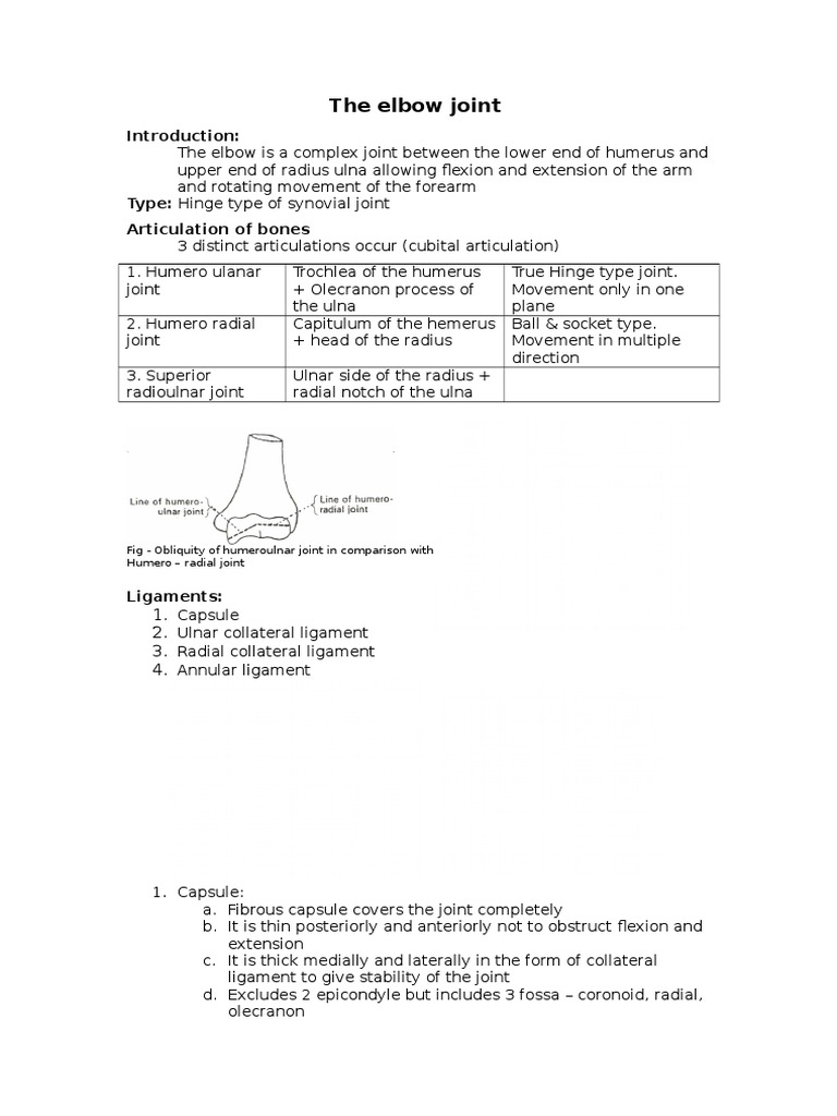 The Elbow Joint: Structure and Function | PDF | Elbow | Arm