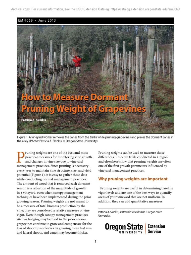 How To Measure Dormant Pruning Weight of Grapevines PDF | PDF ...