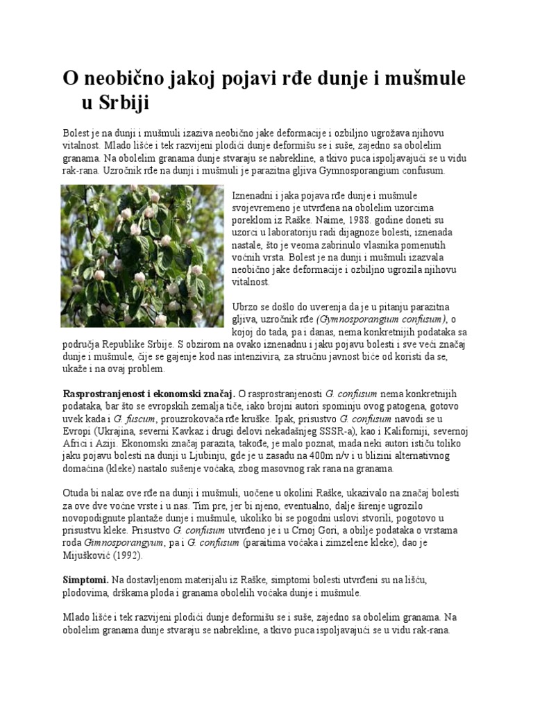 O Pojavi Rdje Dunje I Musmule U Srbiji