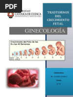 RAFI | PDF | Cirugía | Enfermería