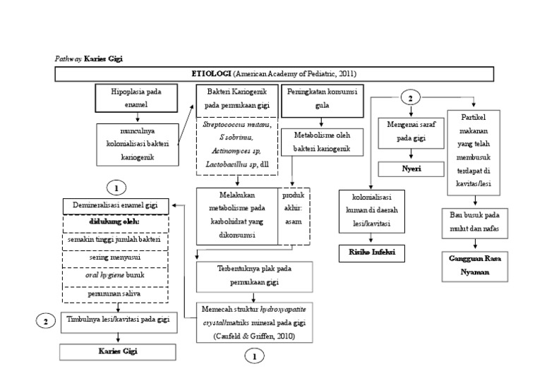 Pathway of Dental Caries | PDF