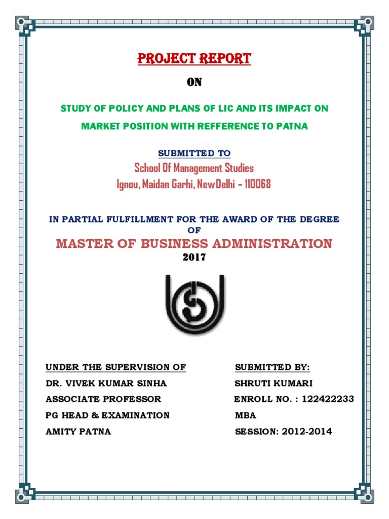 Project Report: Master of Business Administration | PDF
