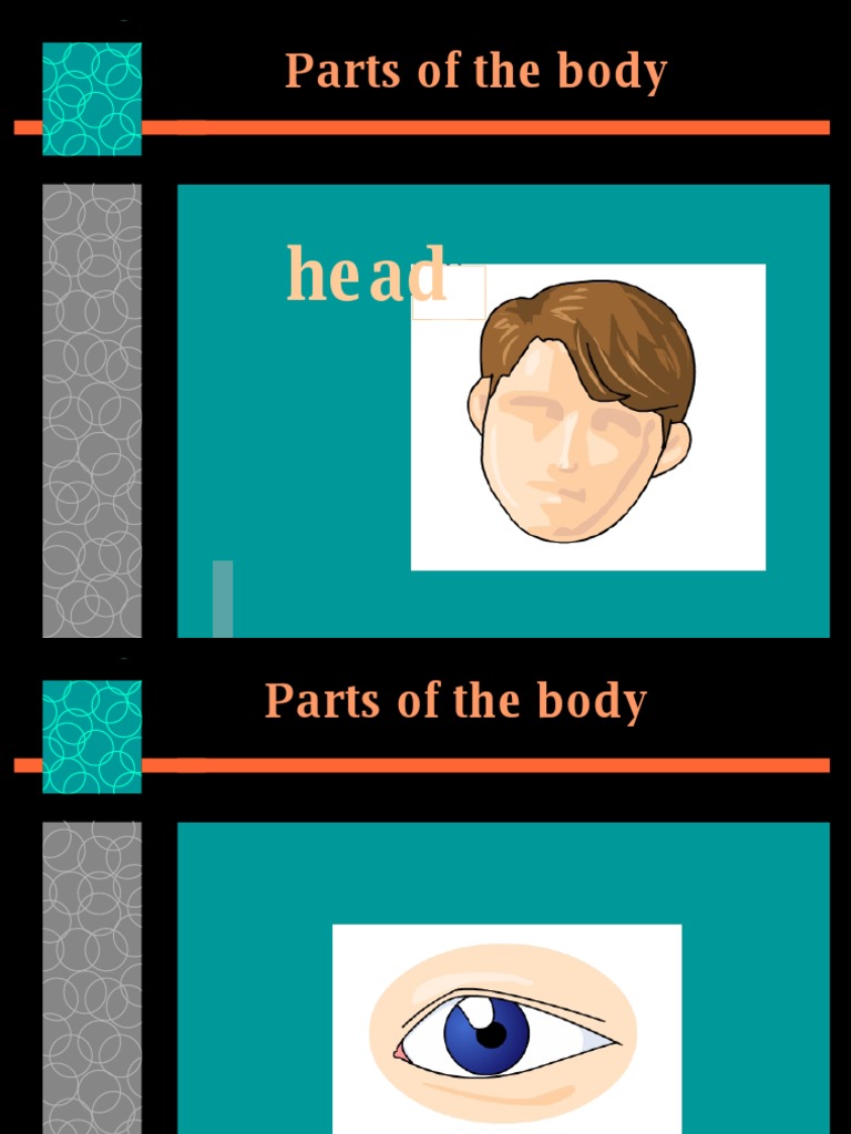 vocabulary-body-pdf