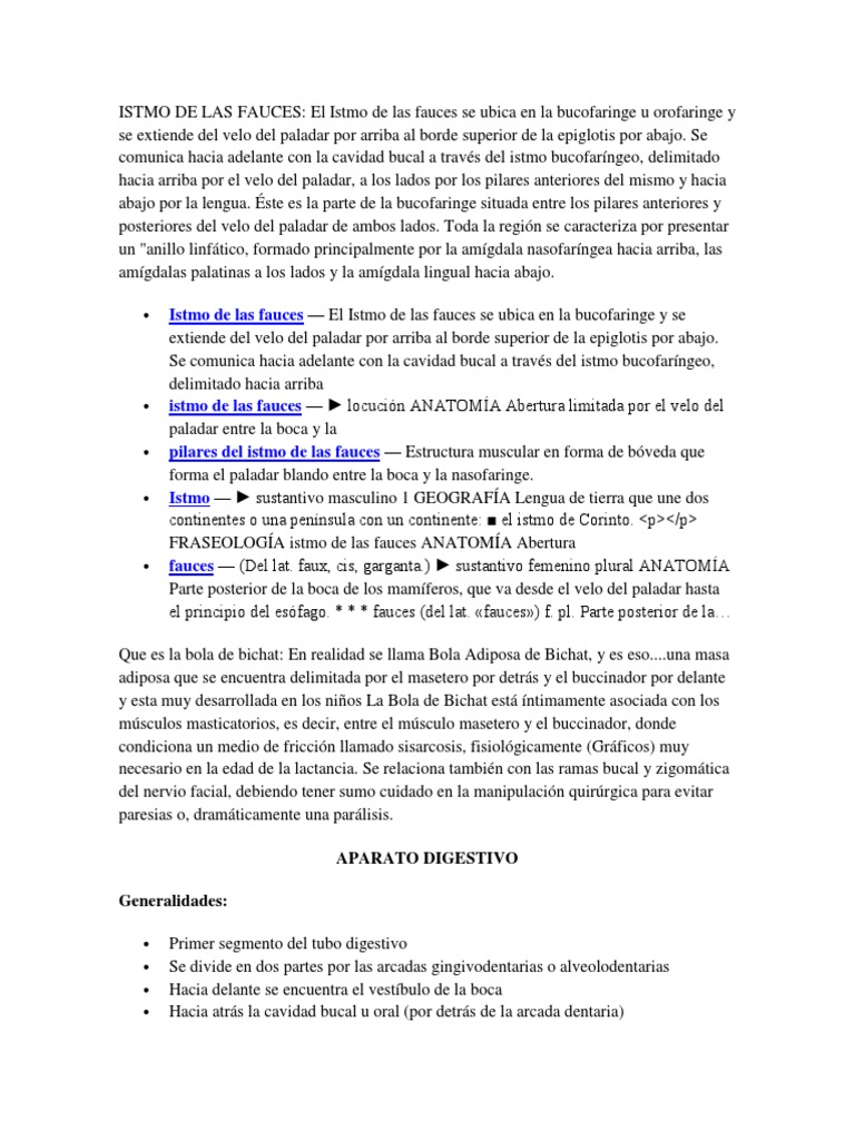 Istmo de Las Fauces | PDF | Sistema musculoesquelético | Anatomia animal