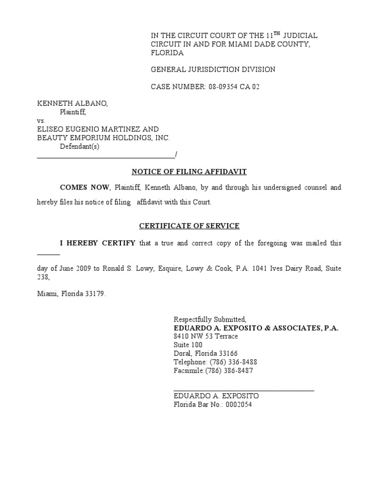 Notice of Filing Financial Affidavit | PDF | Separation Of Powers ...