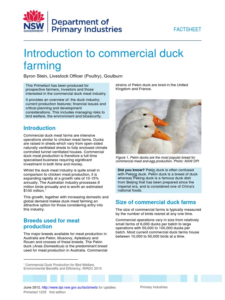 introduction-to-commercial-duck-farming.pdf | Poultry | Meat | Free 30 ...