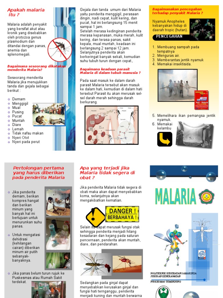Leaflet Malaria 2 | PDF