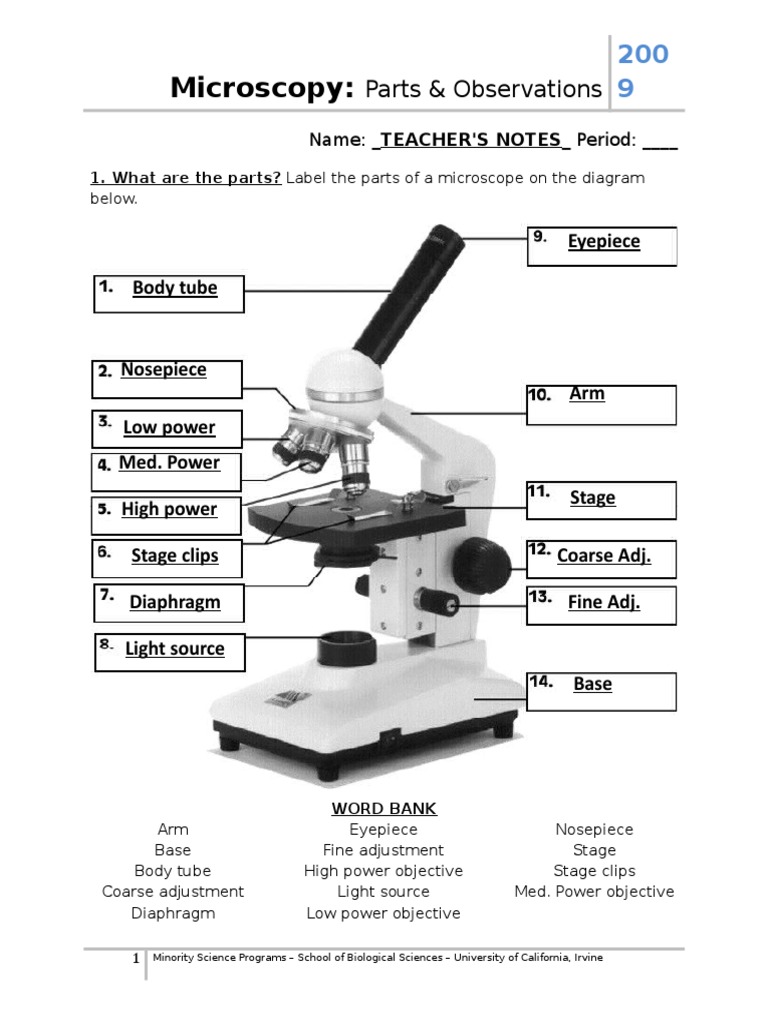 Microscope TeacherNotes | PDF | Atomic | Electromagnetic Radiation