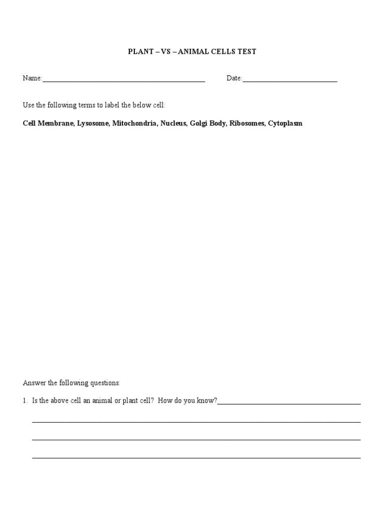 Plant - Vs - Animal Cells Test | PDF