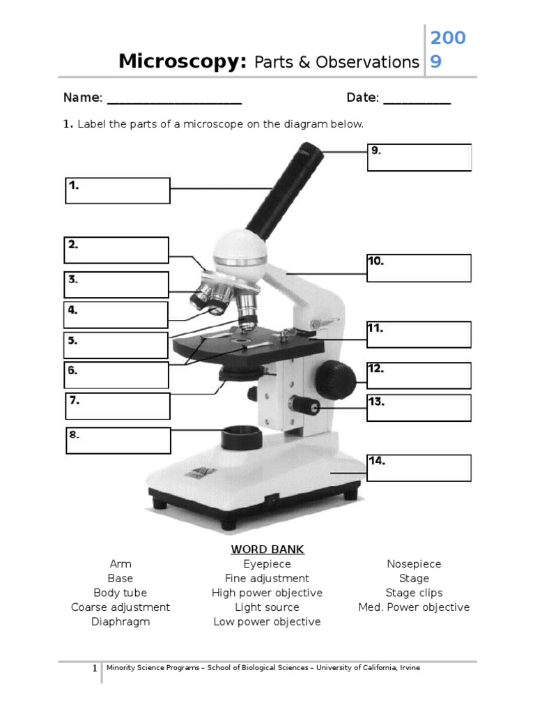 Microscope Activity | PDF | Microscopy | Optical Devices