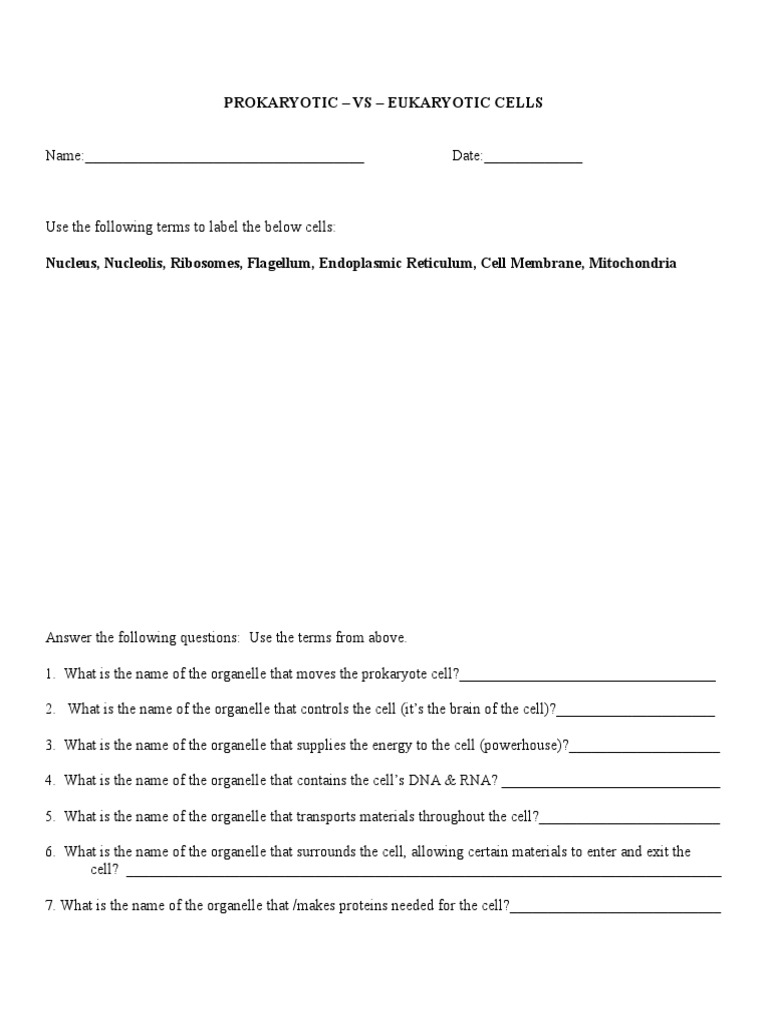 Prokaryotic - Vs - Eukaryotic Cells | PDF | Science & Mathematics
