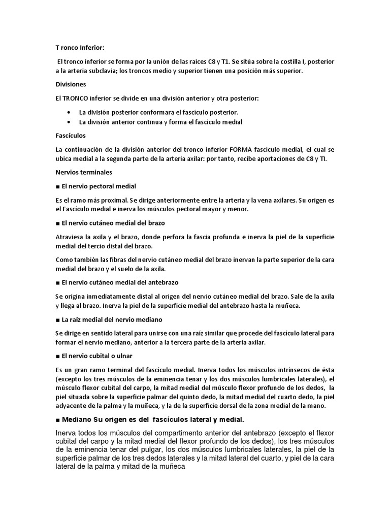 Tronco Inferior | PDF | Neuroanatomía | Anatomía humana