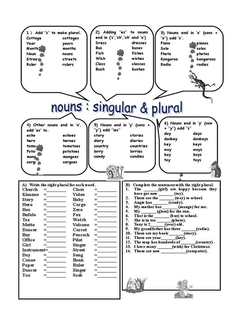 Nouns Singular and Plural | PDF | Noun | Linguistic Typology