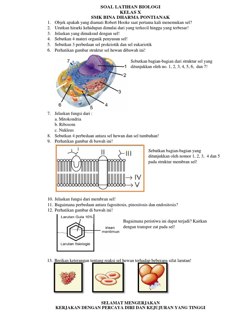 Soal Latihan Sel