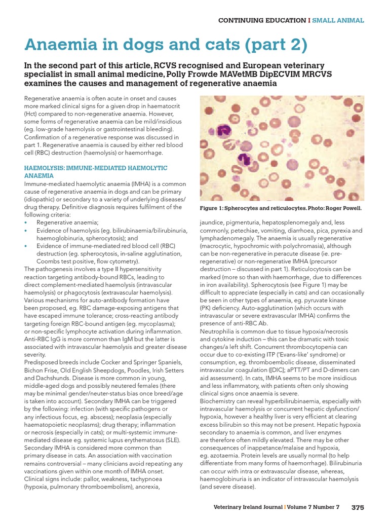Anaemia in Dogs and Cats (Part 2) : Continuing Education | PDF | Anemia ...