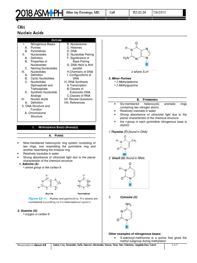 02.04 - Nucleic Acids | PDF | Rna | Directionality (Molecular Biology)