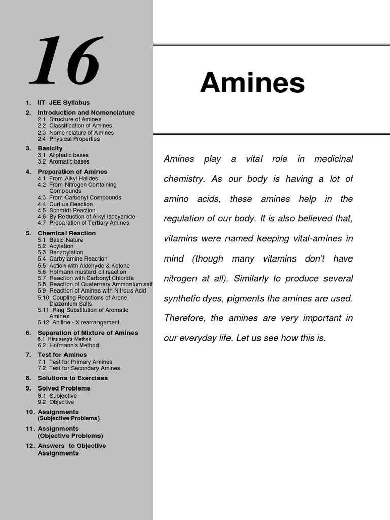 Overview of Amines and Their Reactions | PDF | Amine | Nitrogen
