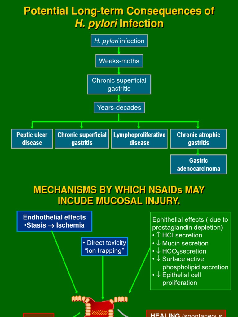 H. Pylori Infection: Potential Long-Term Consequences of | PDF ...