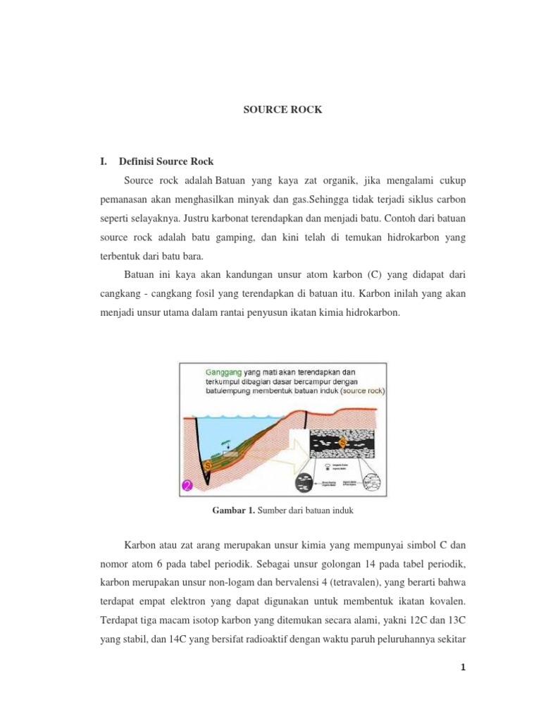 Definisi dan Jenis Batuan Induk | PDF
