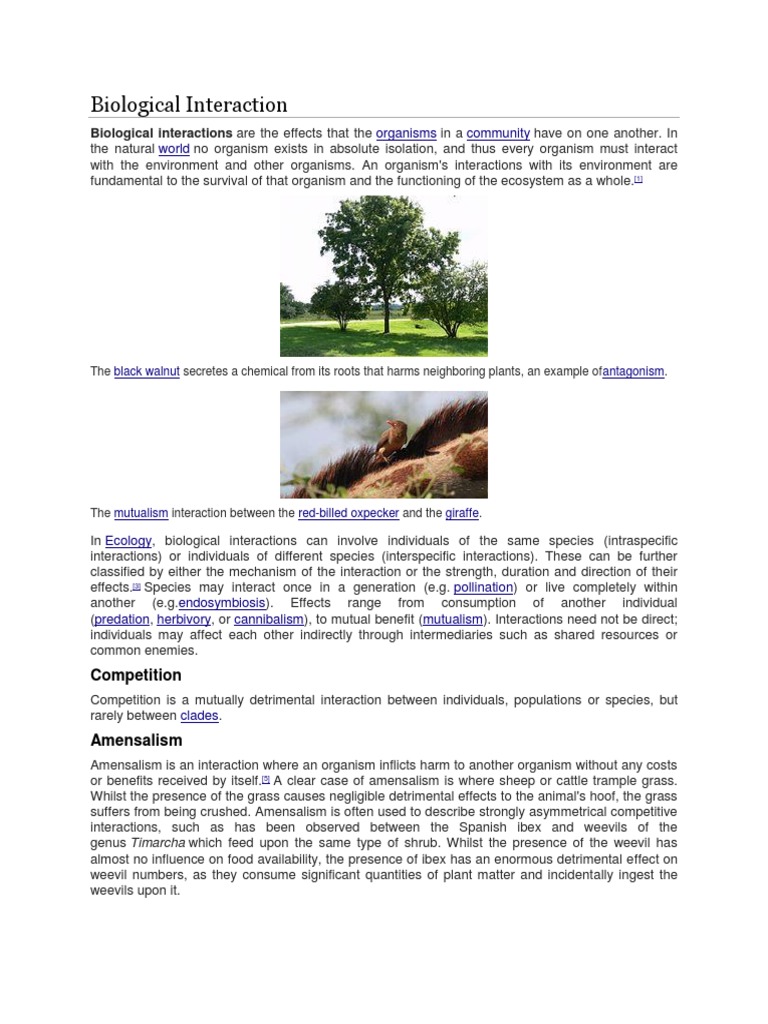 Biological Interaction | PDF | Organisms | Community Ecology