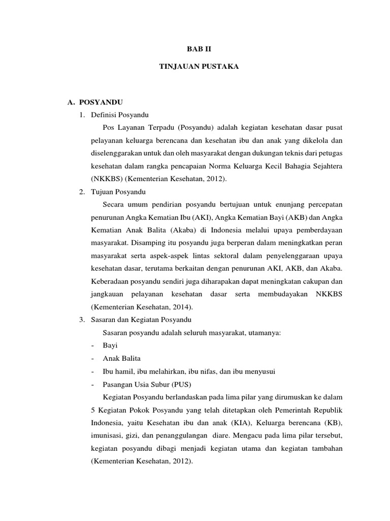 Optimalisasi Posyandu dan SKDN | PDF