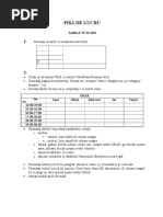 Fişă de Lucru Excel 1 | PDF