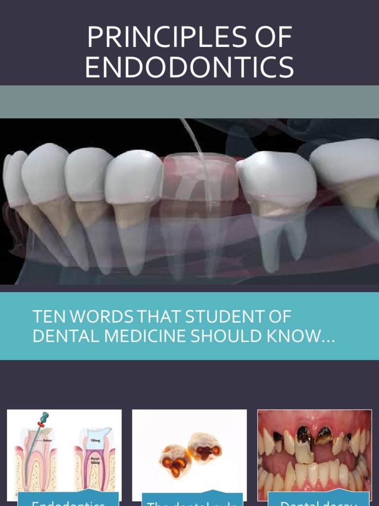 Principles of Endodontics | PDF | Dentistry | Dentistry Branches